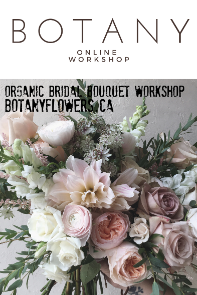 Botany Floral Studio | 647-341-6646 | Toronto Florist | Flower Delivery ...